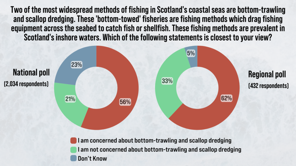 Majority of Scots support banning bottom trawling and scallop dredging ...